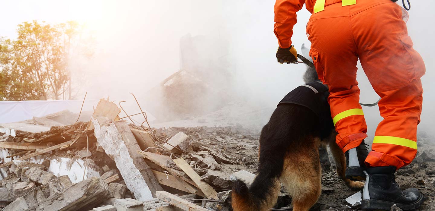 Conferencia Interamericana de Seguridad Social - Inicio - CISS